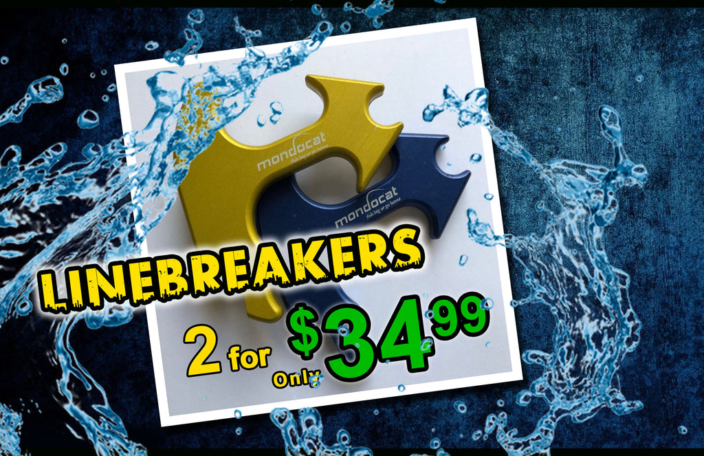 MondoCat - Fish Big or Go Home – Mondocat - Fish Big or Go Home